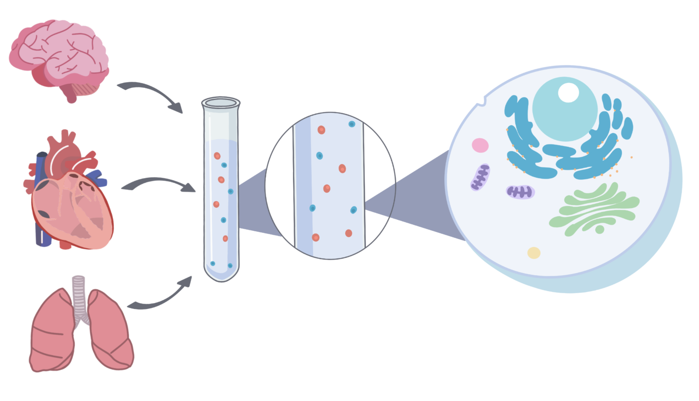 eng Single Cell Multi-omics Analysis – einocle