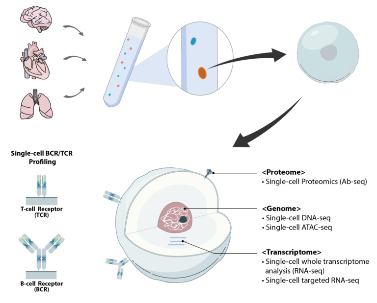 Single Cell Multi-Omics Analysis – einocle